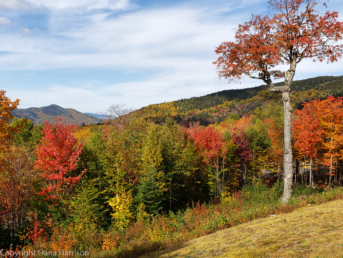 Fall Colors in New Hampshire – Great Escapetations