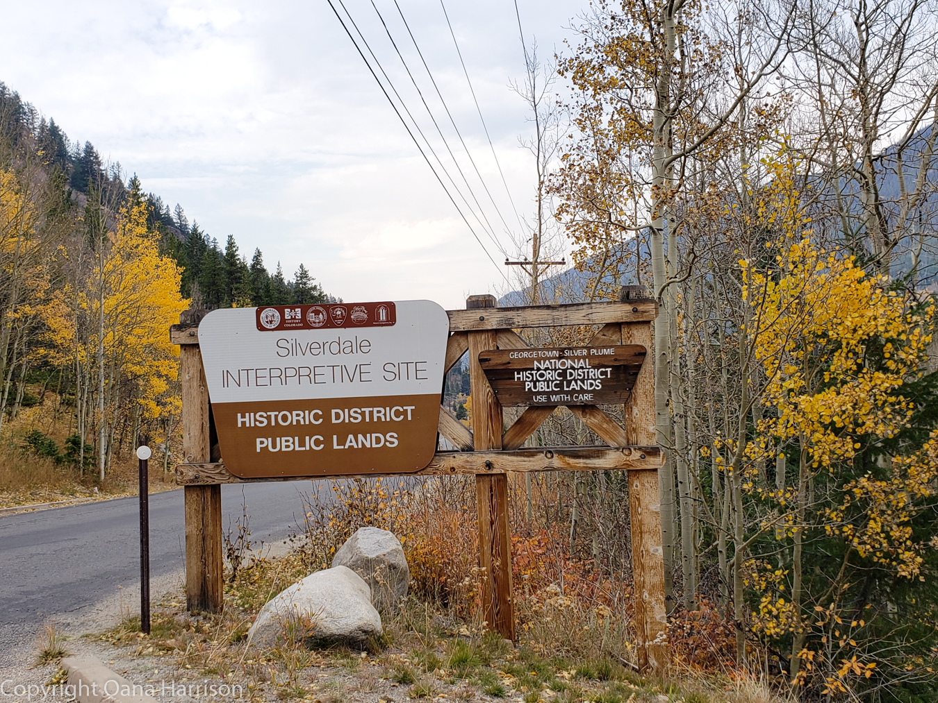 Golden Aspens in Georgetown, Colorado – Great Escapetations