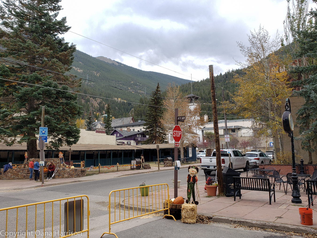 Golden Aspens in Georgetown, Colorado – Great Escapetations
