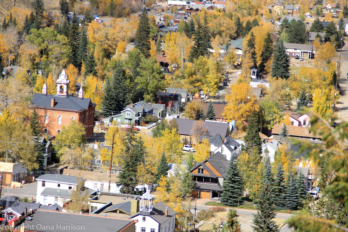 Golden Aspens in Georgetown, Colorado – Great Escapetations