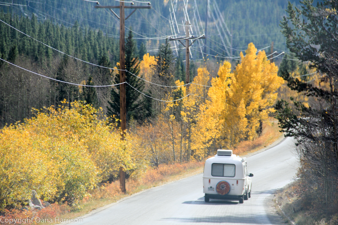 Golden Aspens in Georgetown, Colorado – Great Escapetations