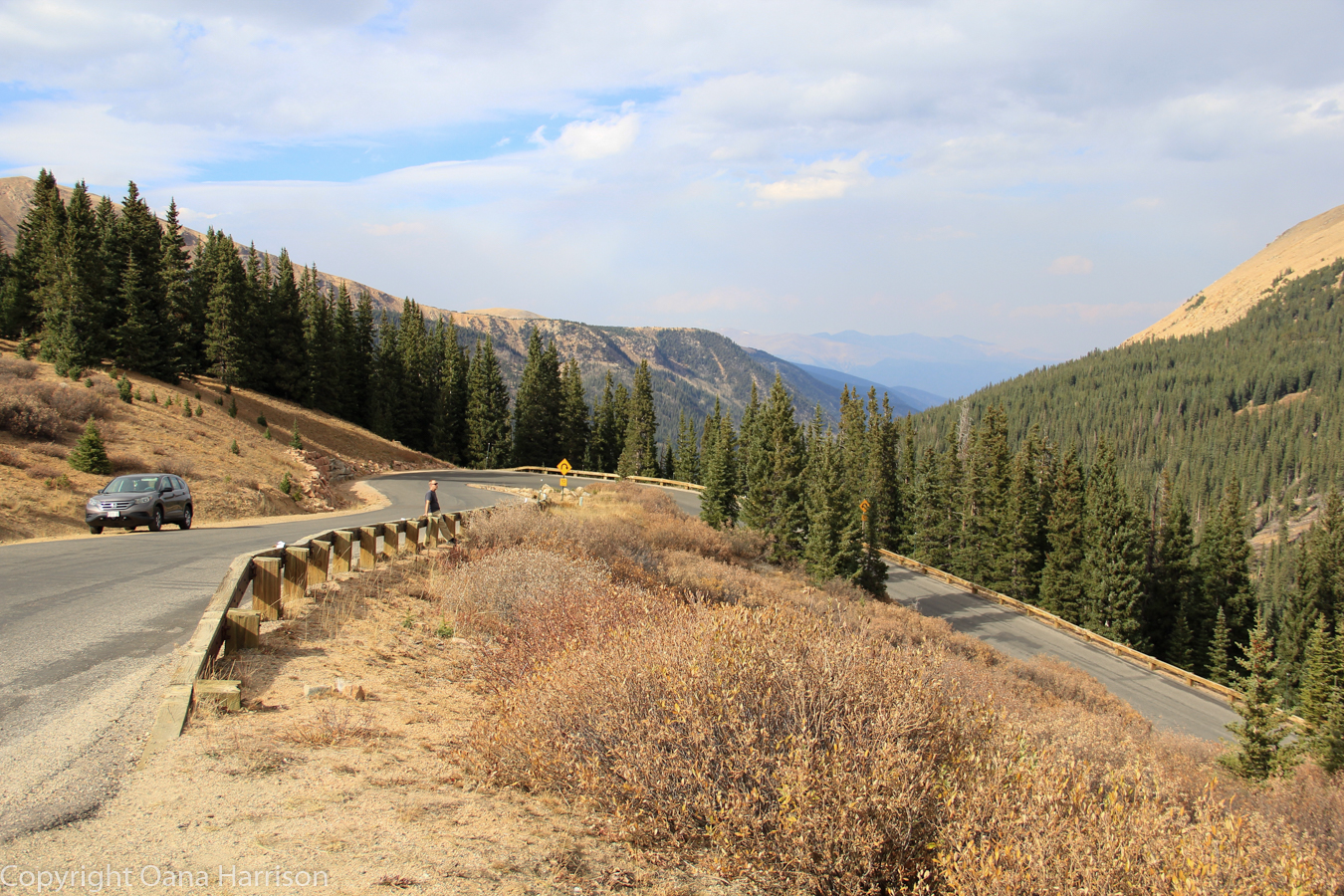 Golden Aspens in Georgetown, Colorado – Great Escapetations