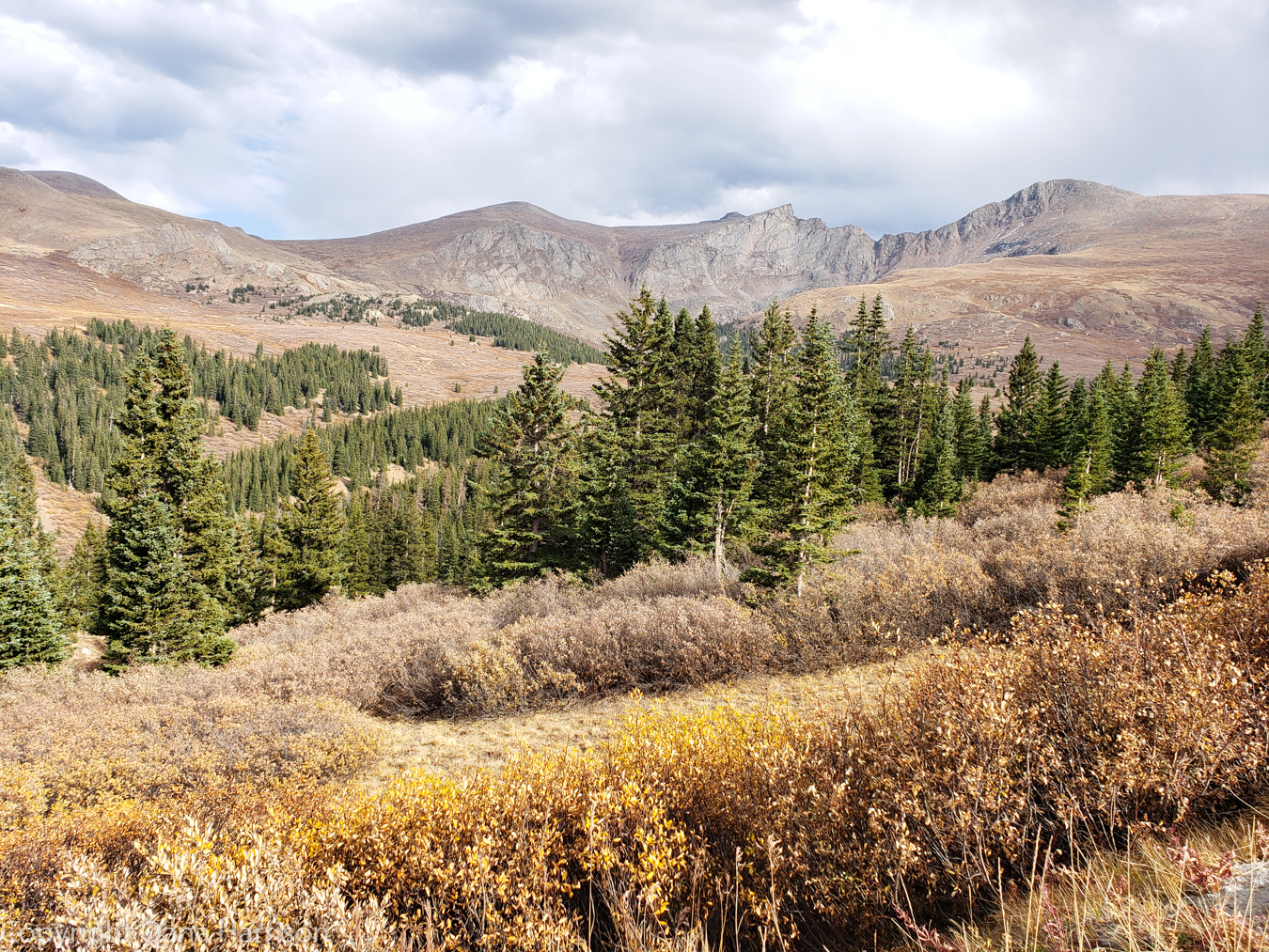 Golden Aspens in Georgetown, Colorado – Great Escapetations