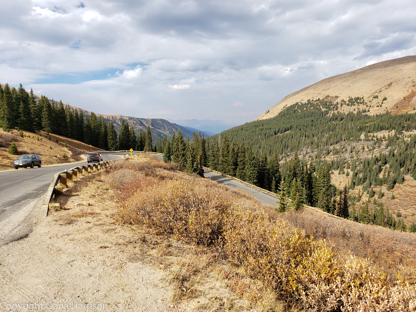 Golden Aspens in Georgetown, Colorado – Great Escapetations